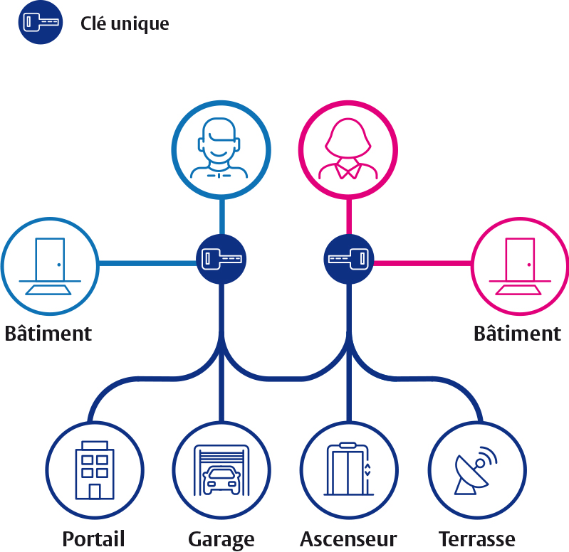 Organigrammes | TESA ASSA ABLOY